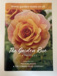 ROSE CATALOGUE (2023) | Garden Roses | Pococks Roses | The Cornish Rose ...